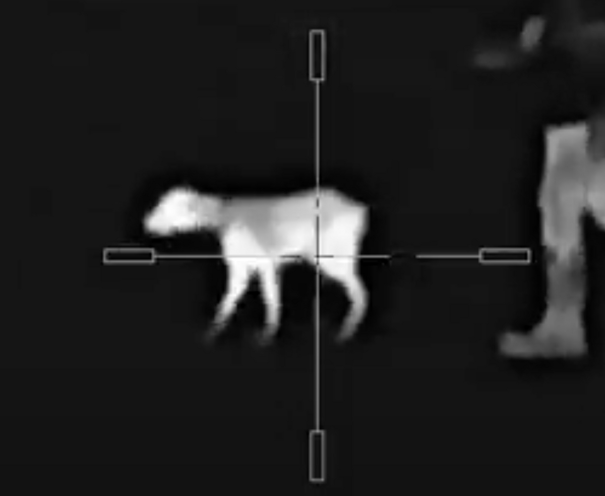 AGM Rattler V2 TS25-256 Thermal Riflescope – Fall River Shooters